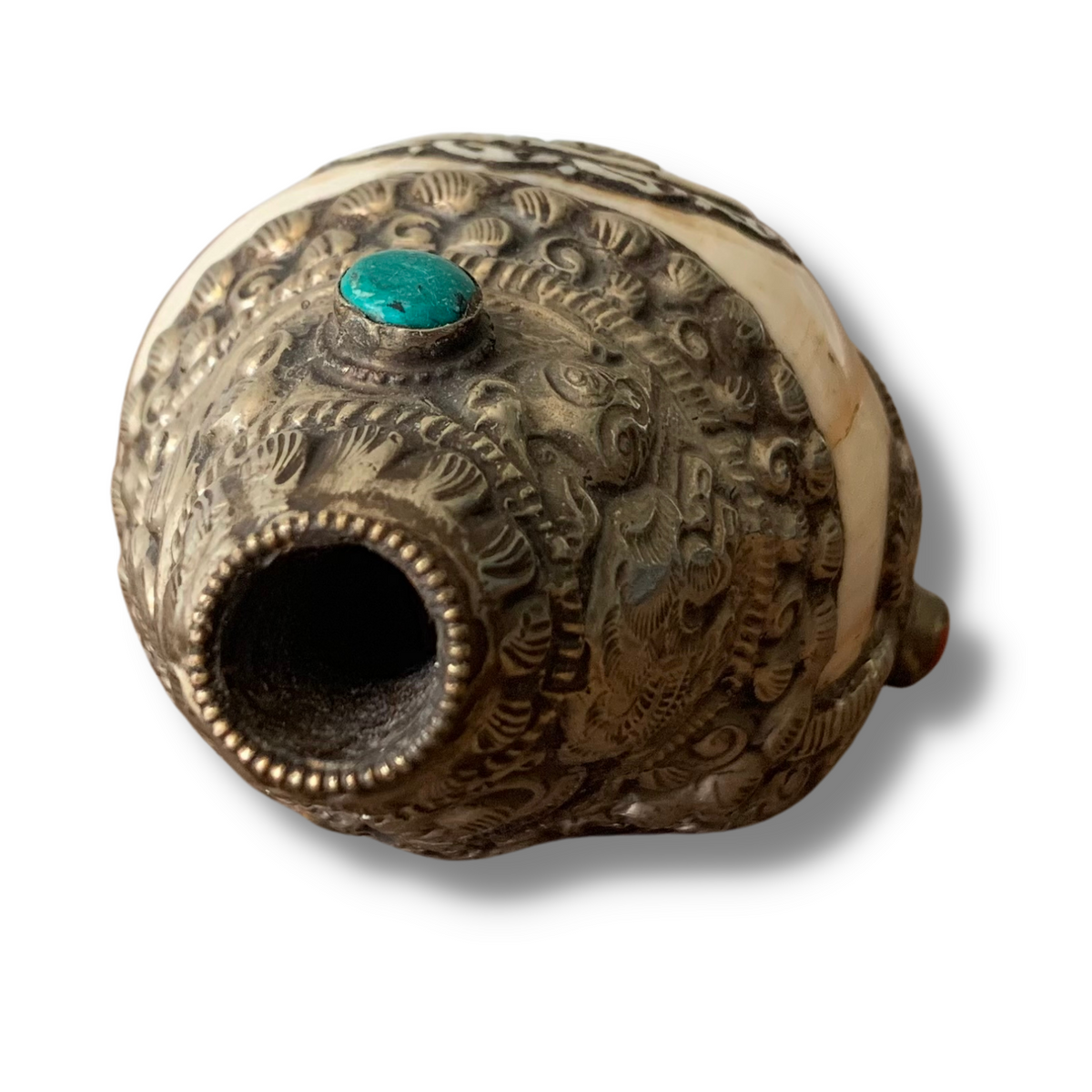 Auspicious Fish Engraved Conch Shell – Tibetan Emporium